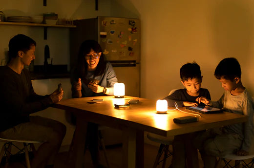 4 Emergency Energy Combos: Which One Is Right For You? – BioLite